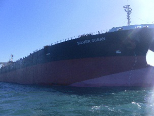 Singapore Shipping Enterprises | Fleet
